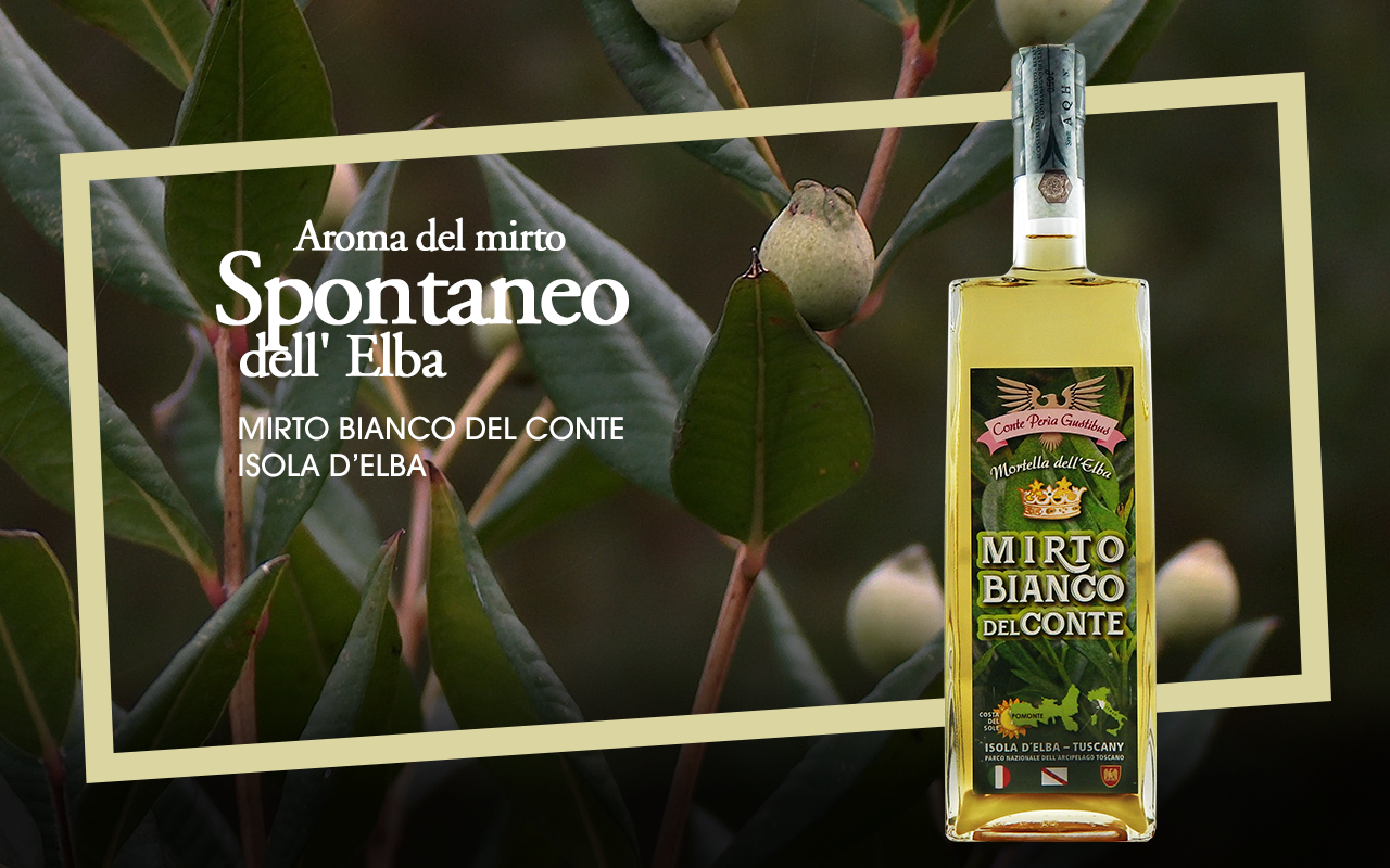 Mirto Bianco del Conte - Isola d'Elba